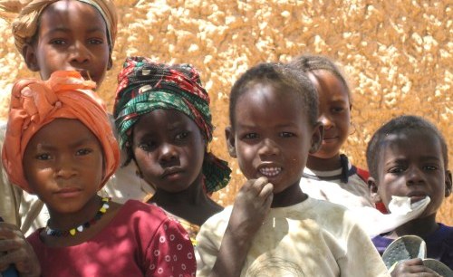 Stemming Sickle Cell Disease in Africa - allAfrica.com