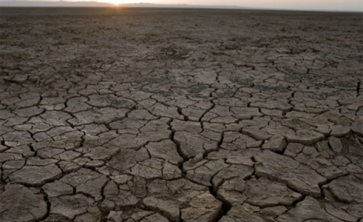 West Africa: Bringing Dry Land in the Sahel Back to Life - allAfrica.com