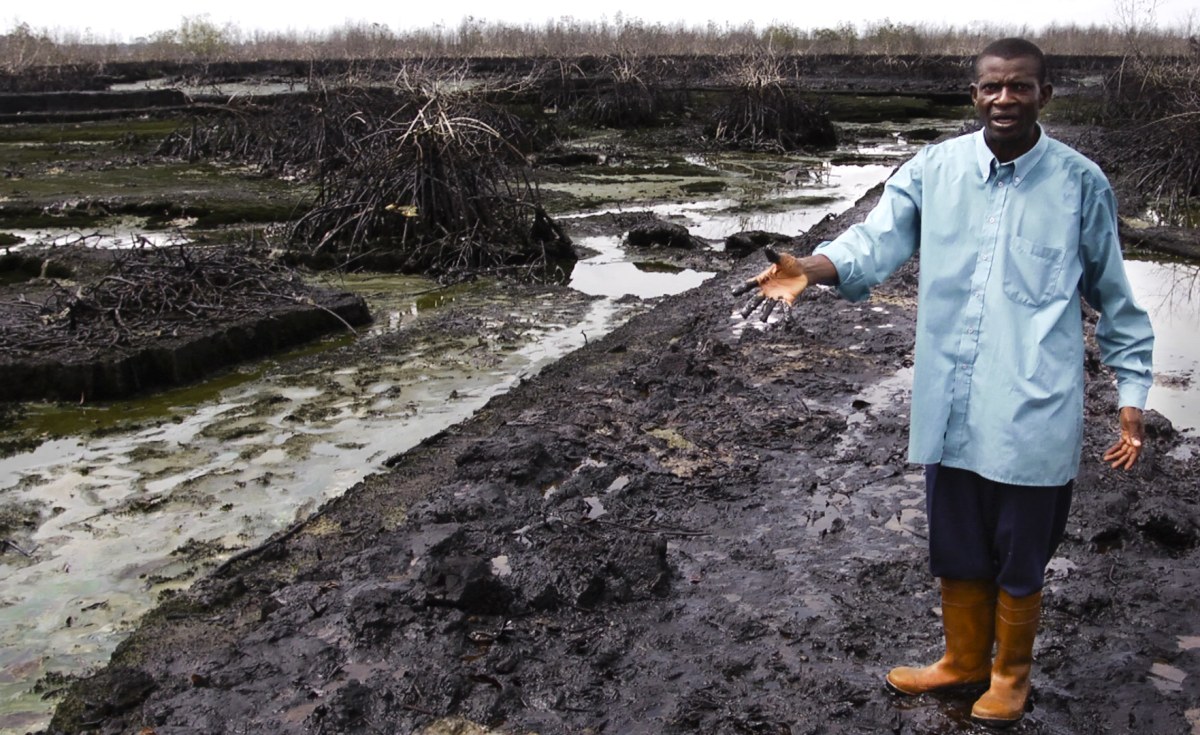PhotoEssay » Oil Spills Devastate Niger Delta - allAfrica.com