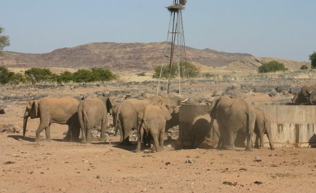 Namibia Faces N$600m Drought Relief Deficit ...Fishcor Chips in With ...