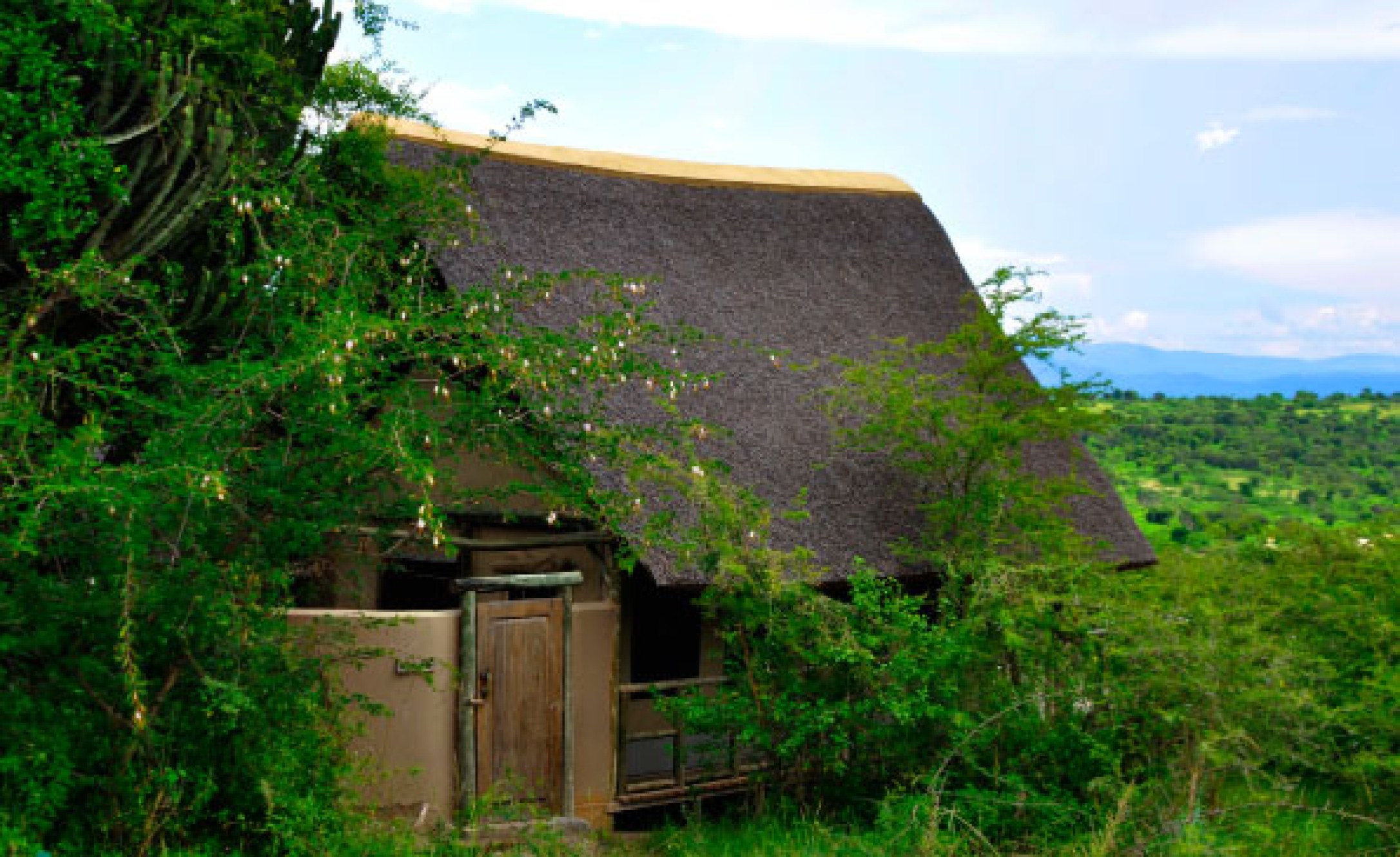 Uganda: The Beauty in Grass-Thatching - allAfrica.com