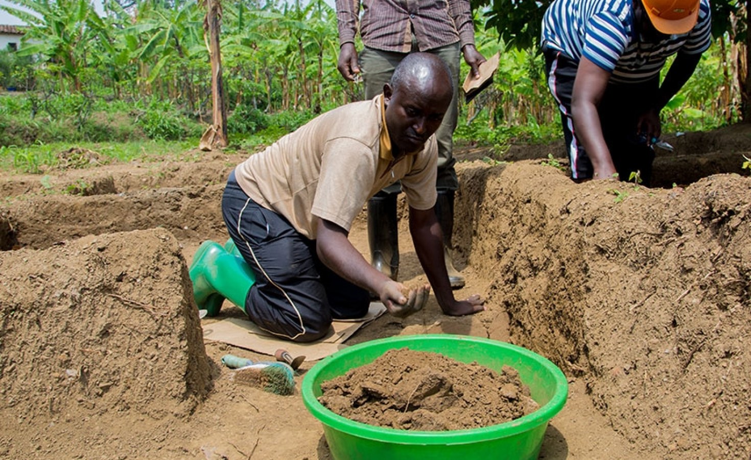 Rwanda: Archaeologists Discover Ancient King's Artifact - allAfrica.com