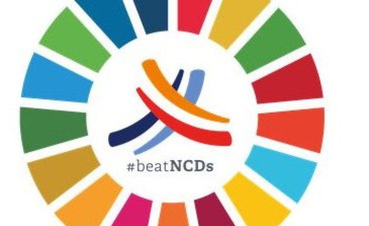 Africa: WHO Independent Global High-level Commission on NCDs ...