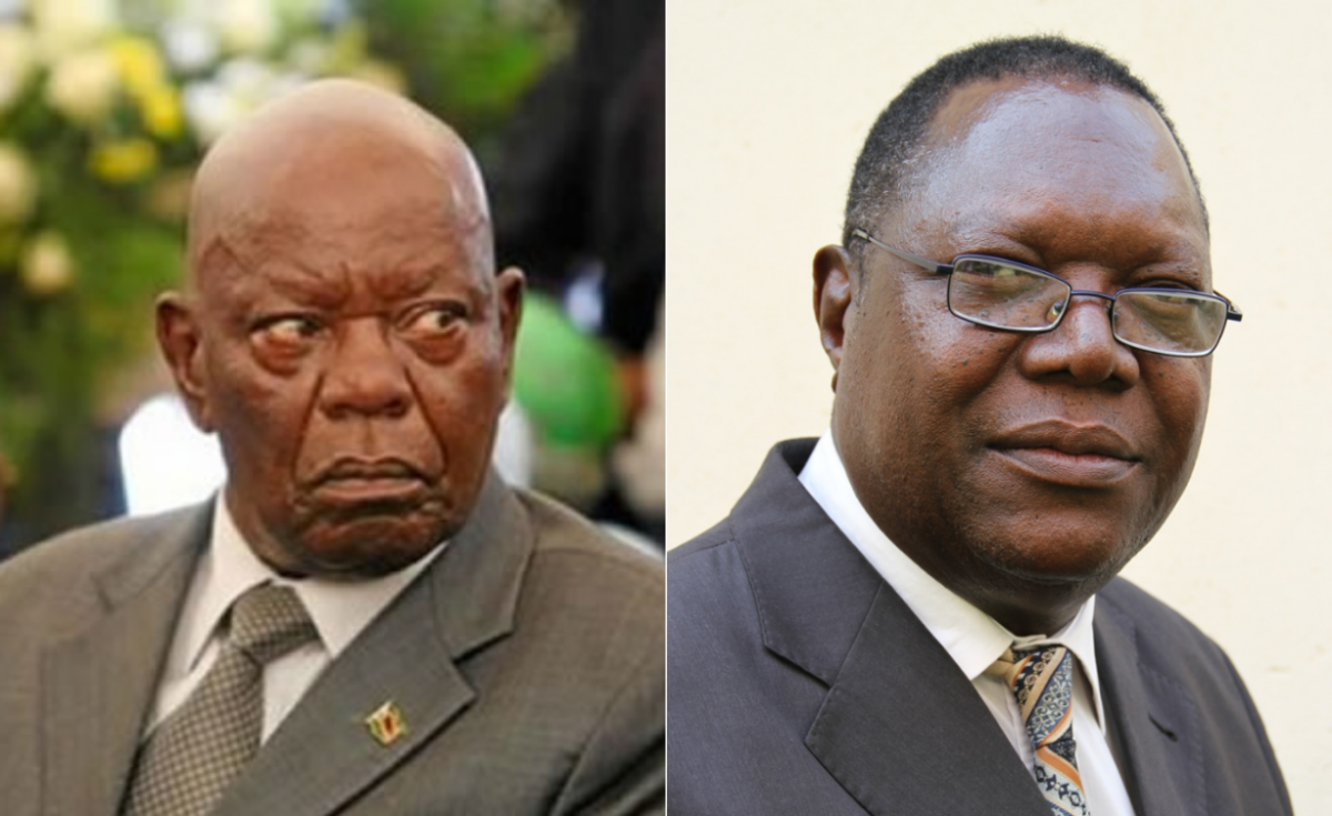 Mutasa, Mutinhiri Return To Zimbabwe's Ruling Party - allAfrica.com