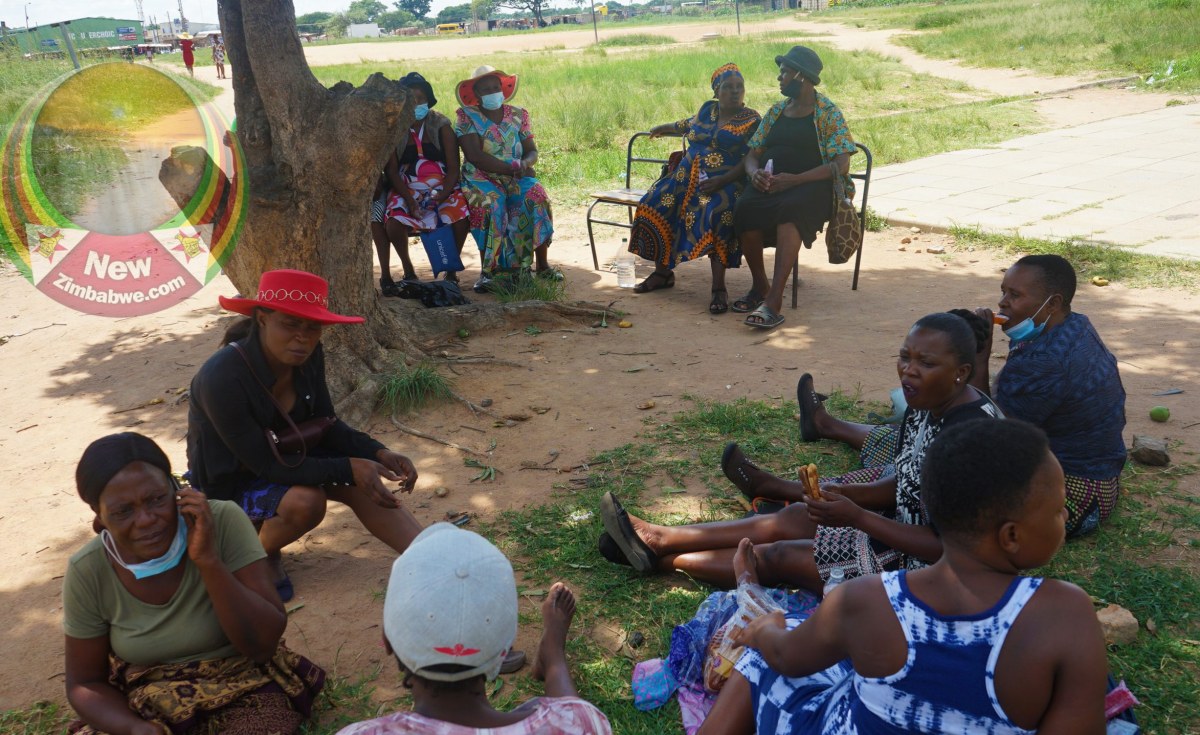 Zimbabwe's 2023 Elections - How to Judge Candidates' Social Protection ...