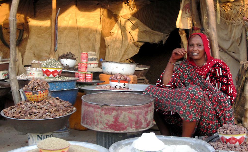 What Does the African Free Trade Agreement Hold for Women? - allAfrica.com