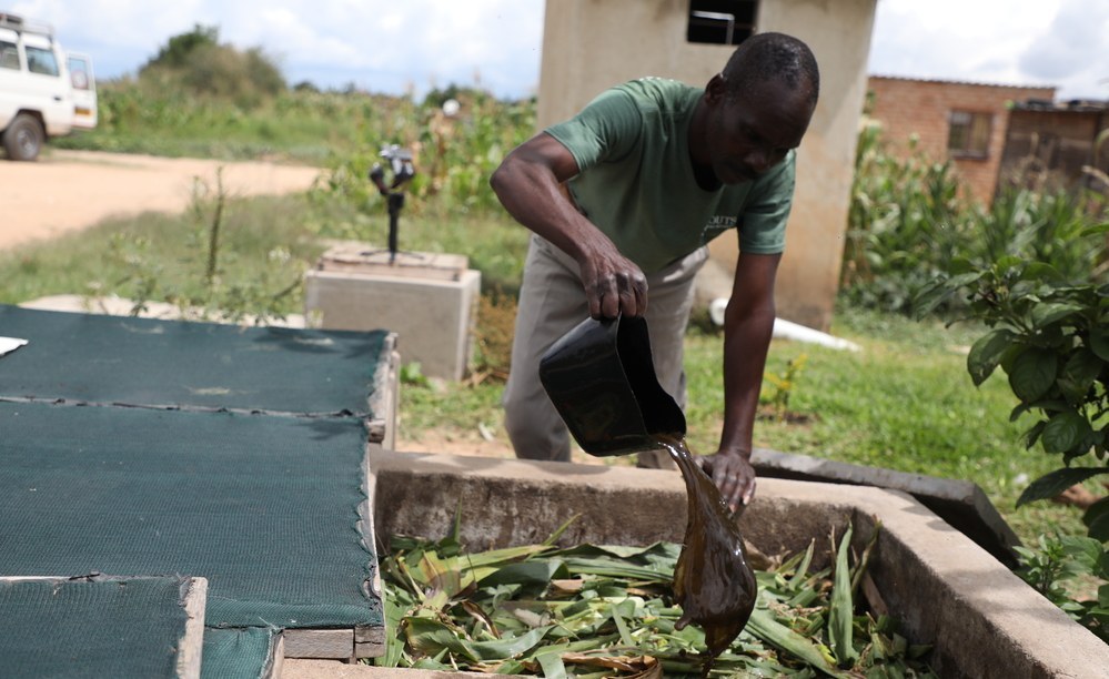 Zimbabwe: Reaping the Rewards of Recycling in Harare, Zimbabwe ...